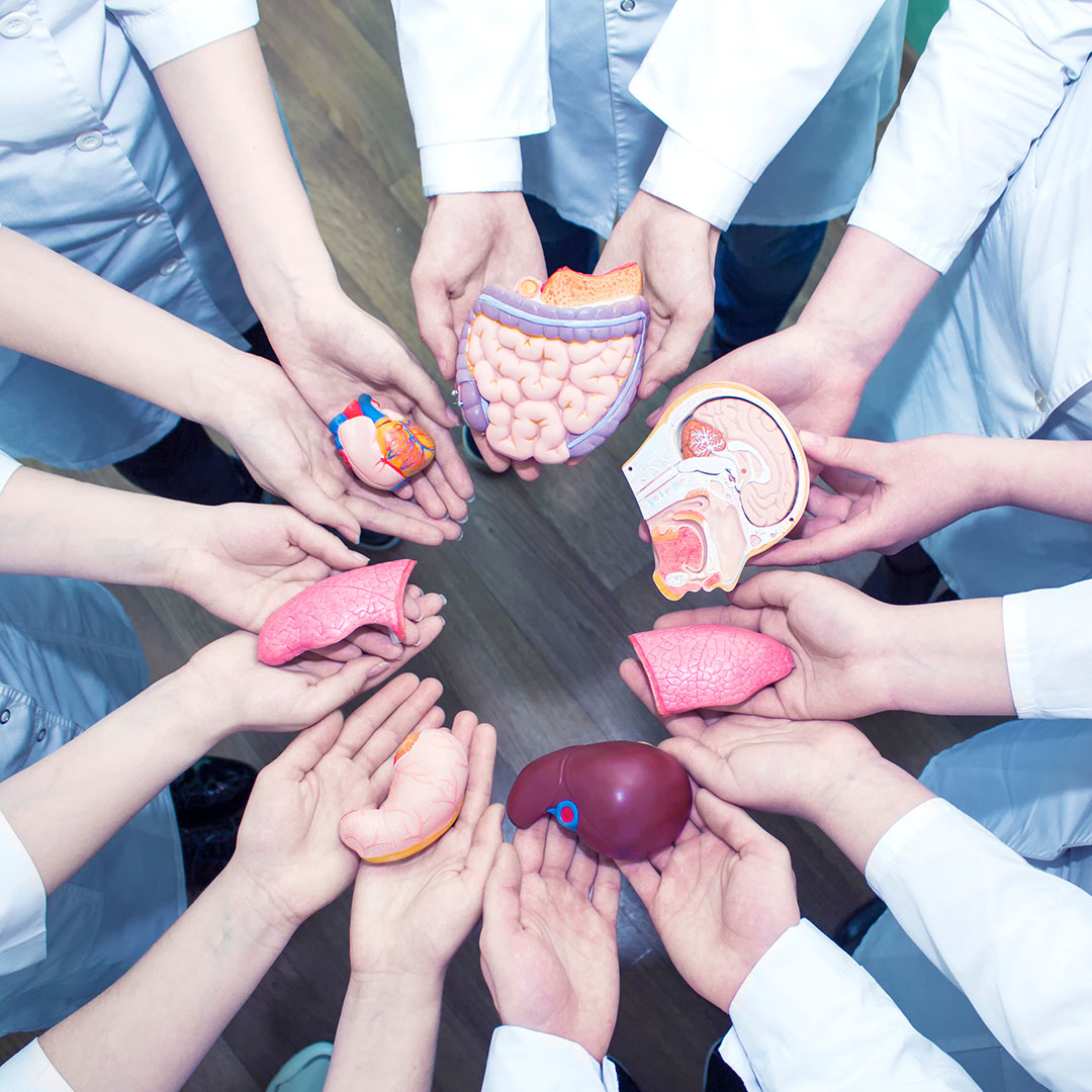 Organotherapy (mRNA Therapy) - NYCIM